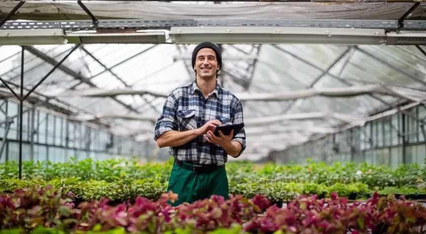 3 Differences Between Organic Gardening and Conventional Gardening ...